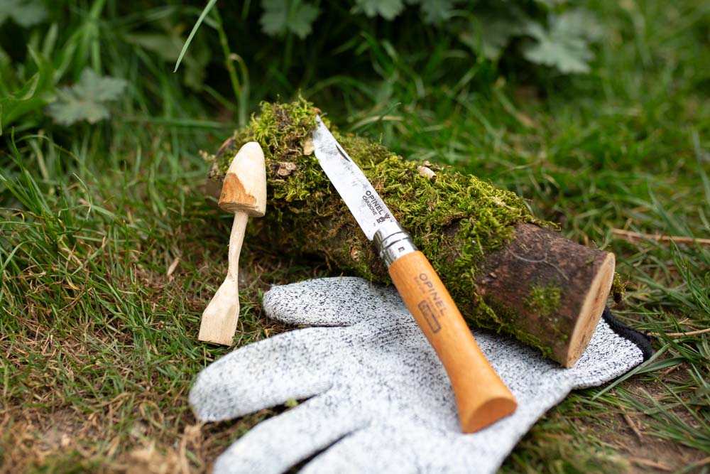 Home Education Thursday 22nd January 3.30pm-5.30pm Marvellous Mushrooms ...